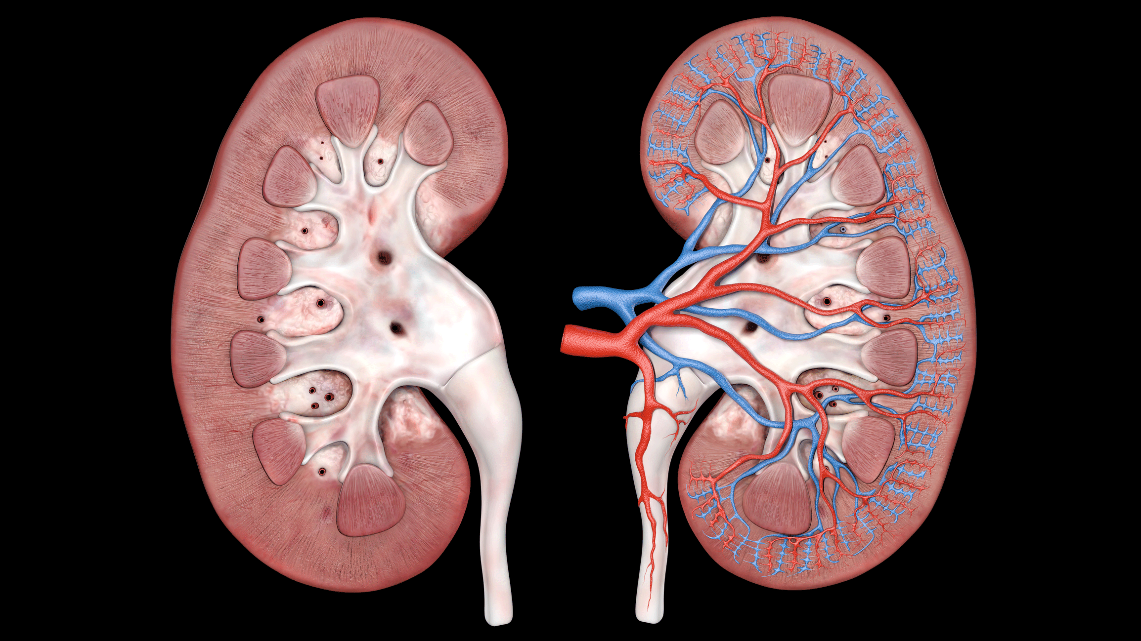 What Is Diabetic Nephropathy? | YourCareEverywhere