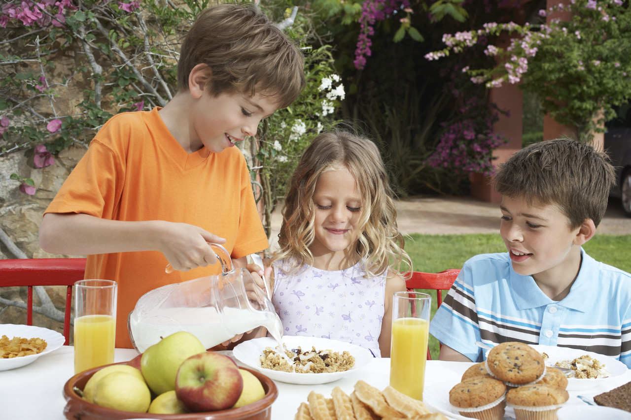 How to Avoid Food Poisoning During Picnics | YourCareEverywhere