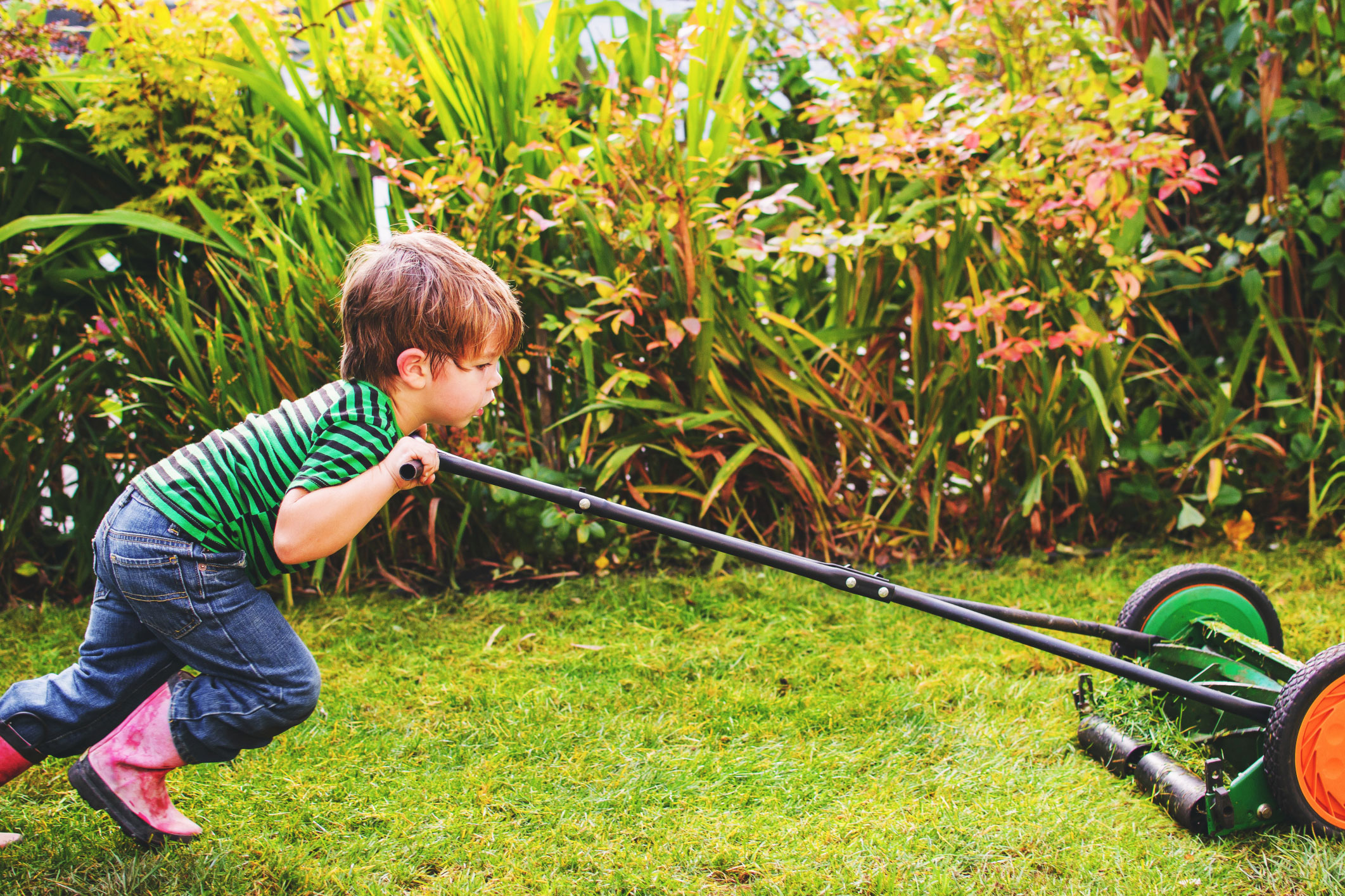 How to Avoid Lawn Mower Injuries | YourCareEverywhere