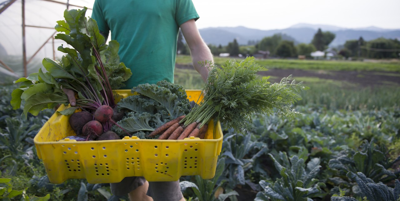 The Dirty Dozen Foods | YourCareEverywhere